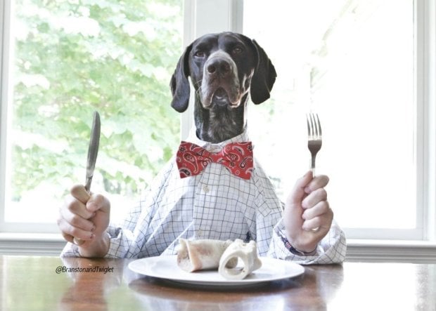 Branston Twiglet Dog Human - Come Wag Along