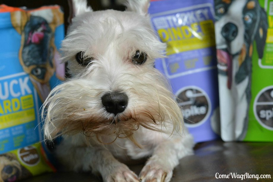 Treat Your Pup Right With Petcurean's Spike Dog Treats - Come Wag Along