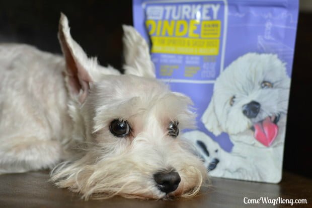 Treat Your Pup Right With Petcurean's Spike Dog Treats - Come Wag Along