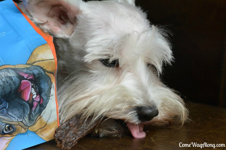 Treat Your Pup Right With Petcurean's Spike Dog Treats - Come Wag Along