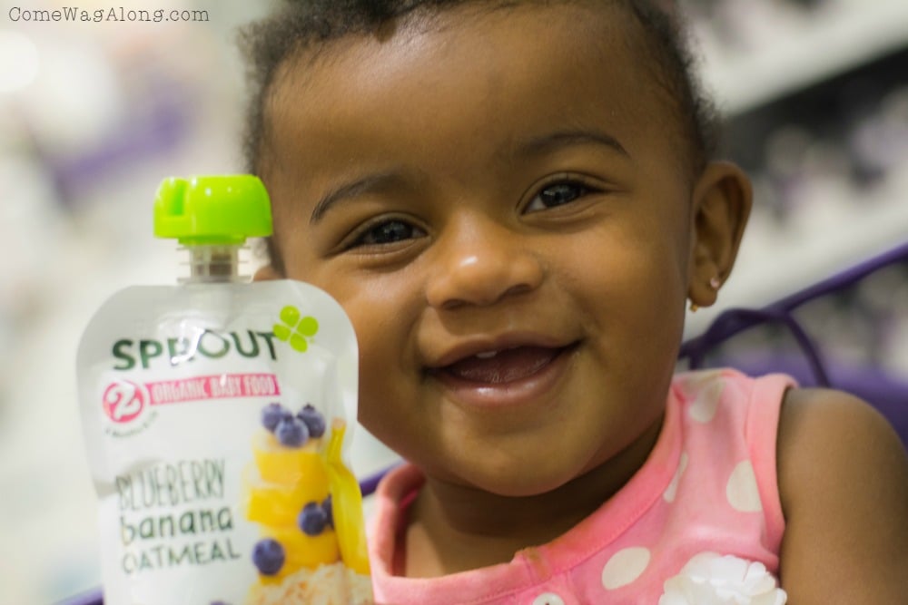 What's Really in Your Baby's Food? - Come Wag Along