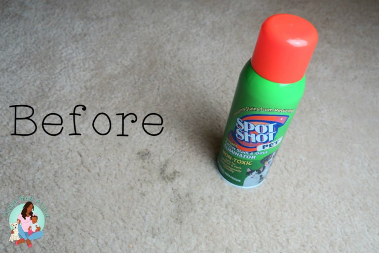 Spring Cleaning Made Easy with Spot Shot - Come Wag Along